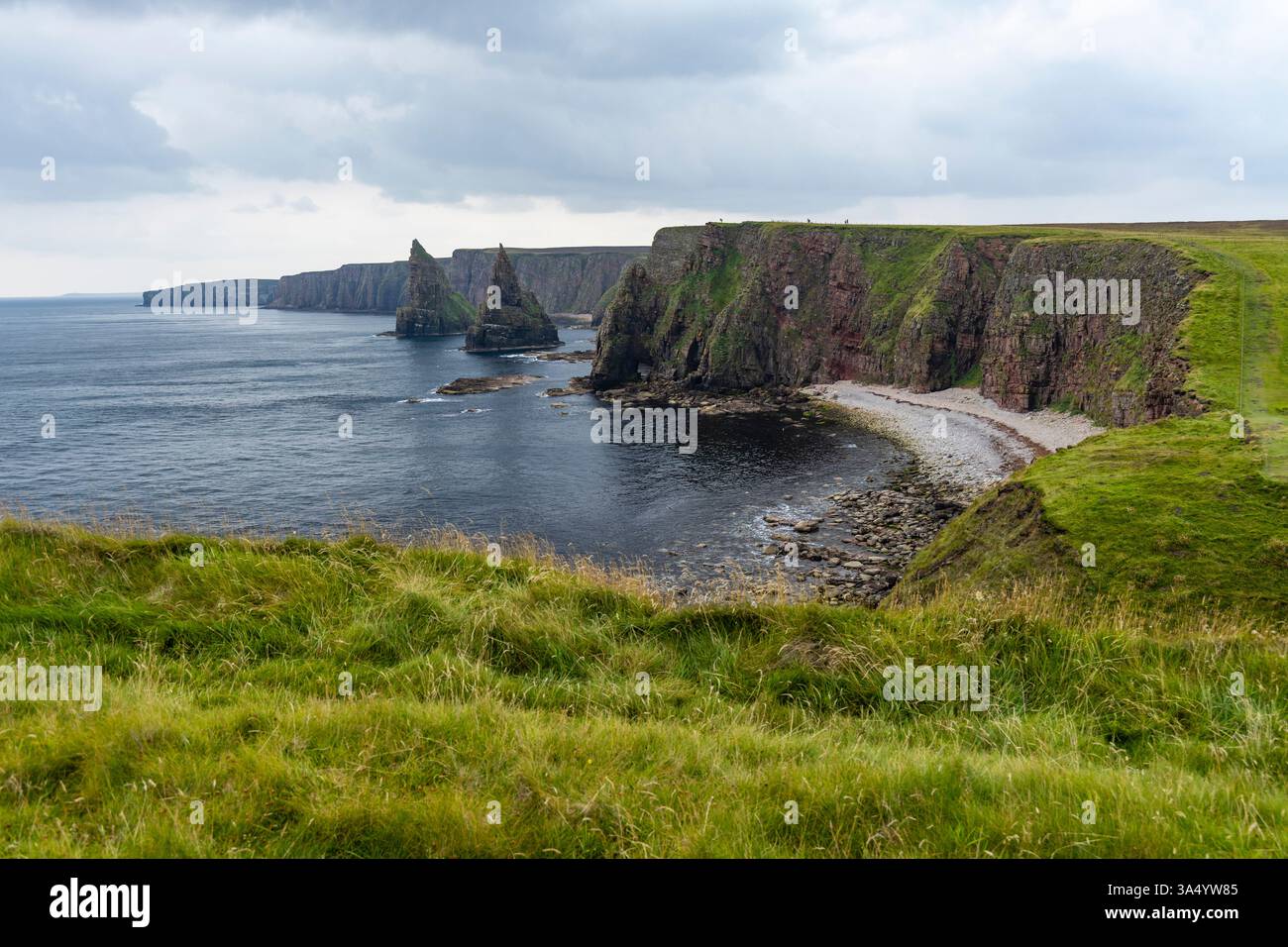 Duncansby Stacks, a breathtaking coastal wonder in Scotland, rise from the North Sea. Standing ...