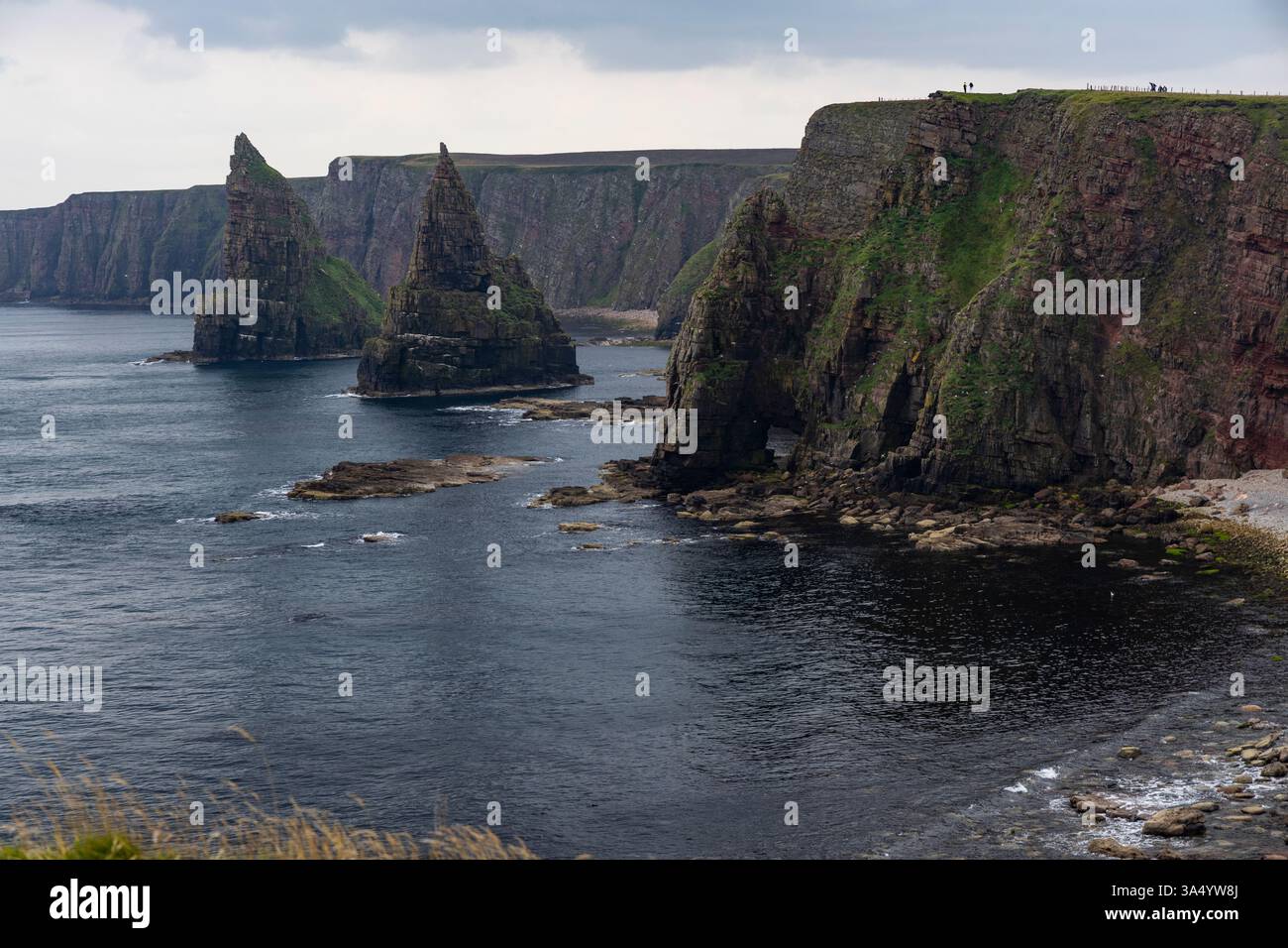 Duncansby Stacks, a breathtaking coastal wonder in Scotland, rise from the North Sea. Standing ...