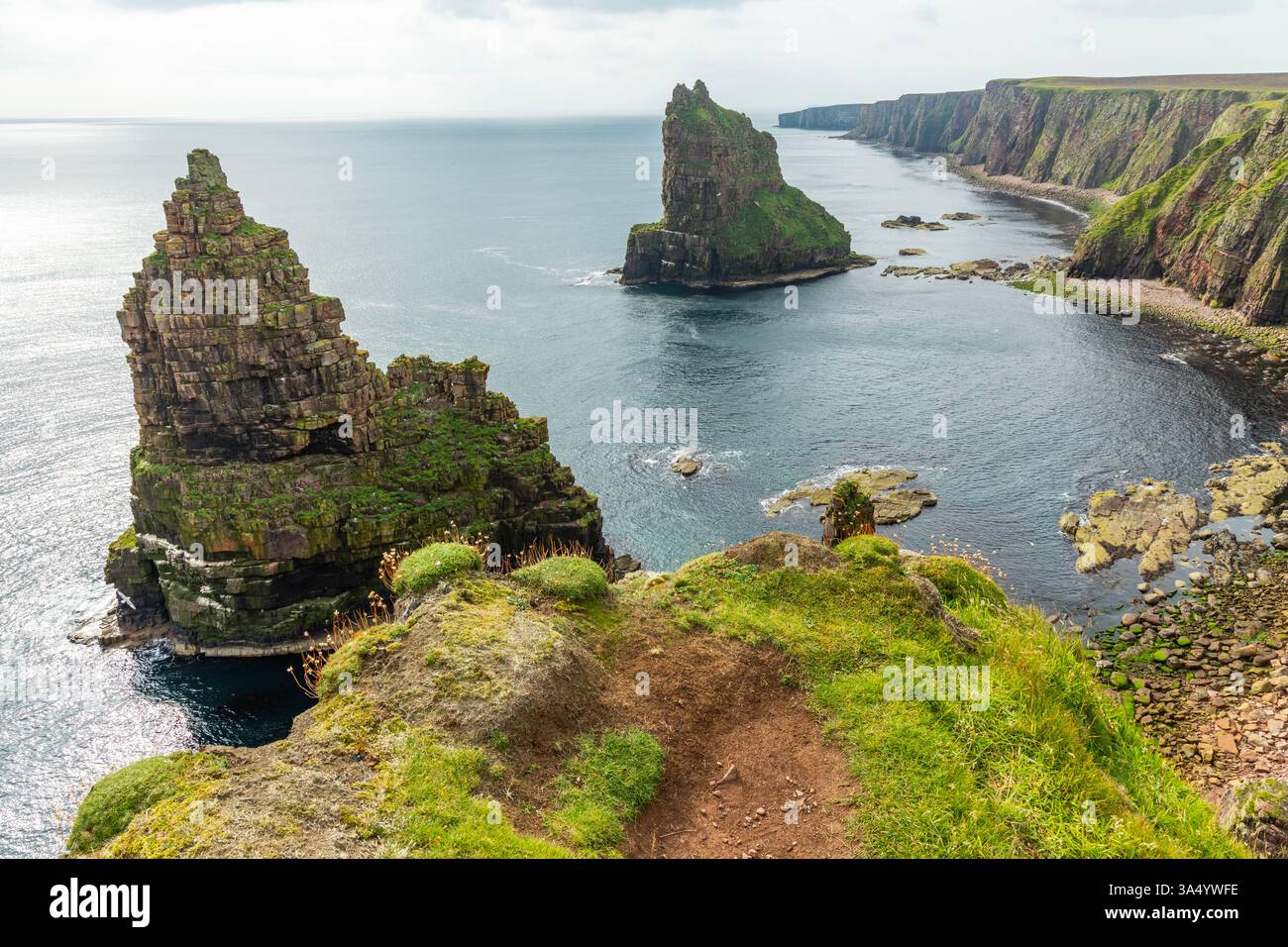 Duncansby Stacks, a breathtaking coastal wonder in Scotland, rise from the North Sea. Standing ...