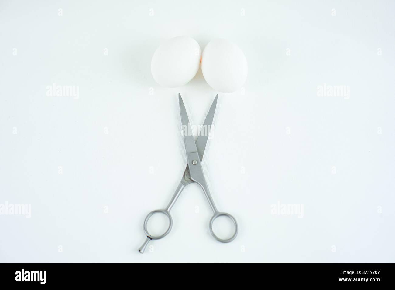 A symbolic representation of a castration concept featuring scissors ...