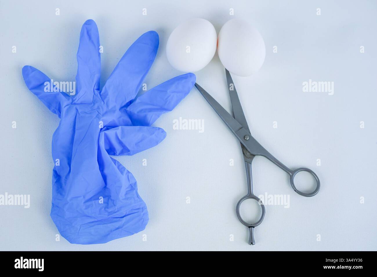 A symbolic representation of a castration concept featuring scissors ...