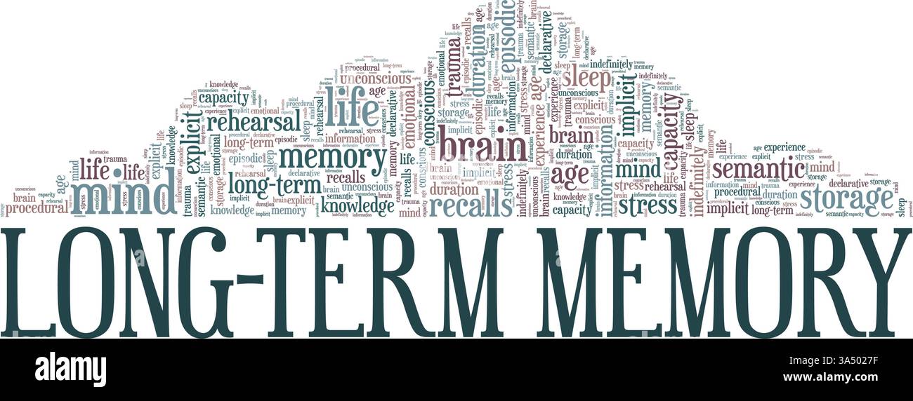 Long-Term Memory vector illustration word cloud isolated on white background Stock Vector Image ...