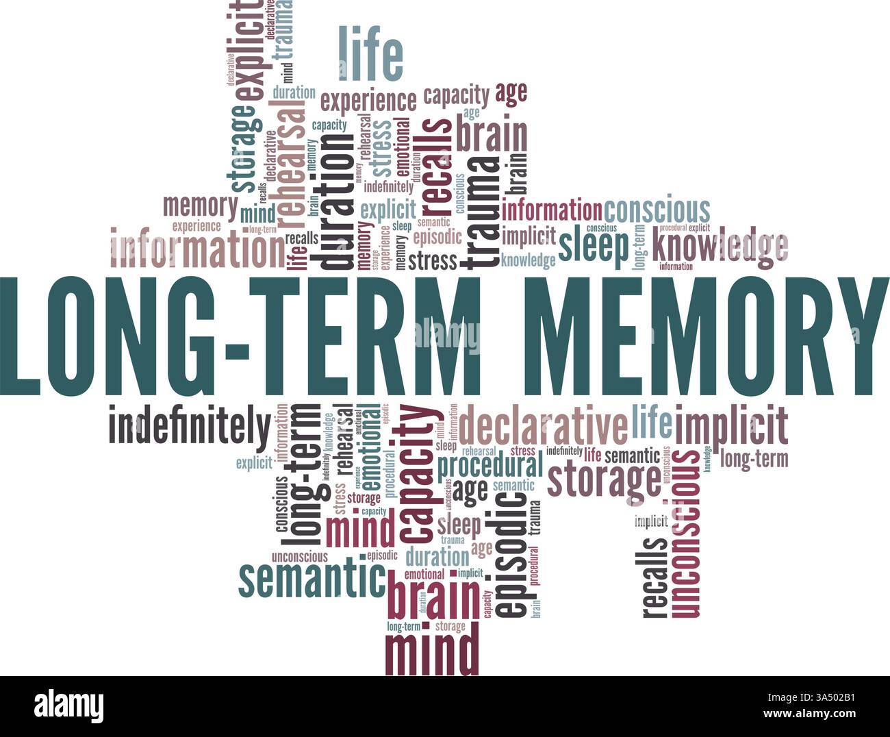 Long-Term Memory vector illustration word cloud isolated on white background Stock Vector Image ...