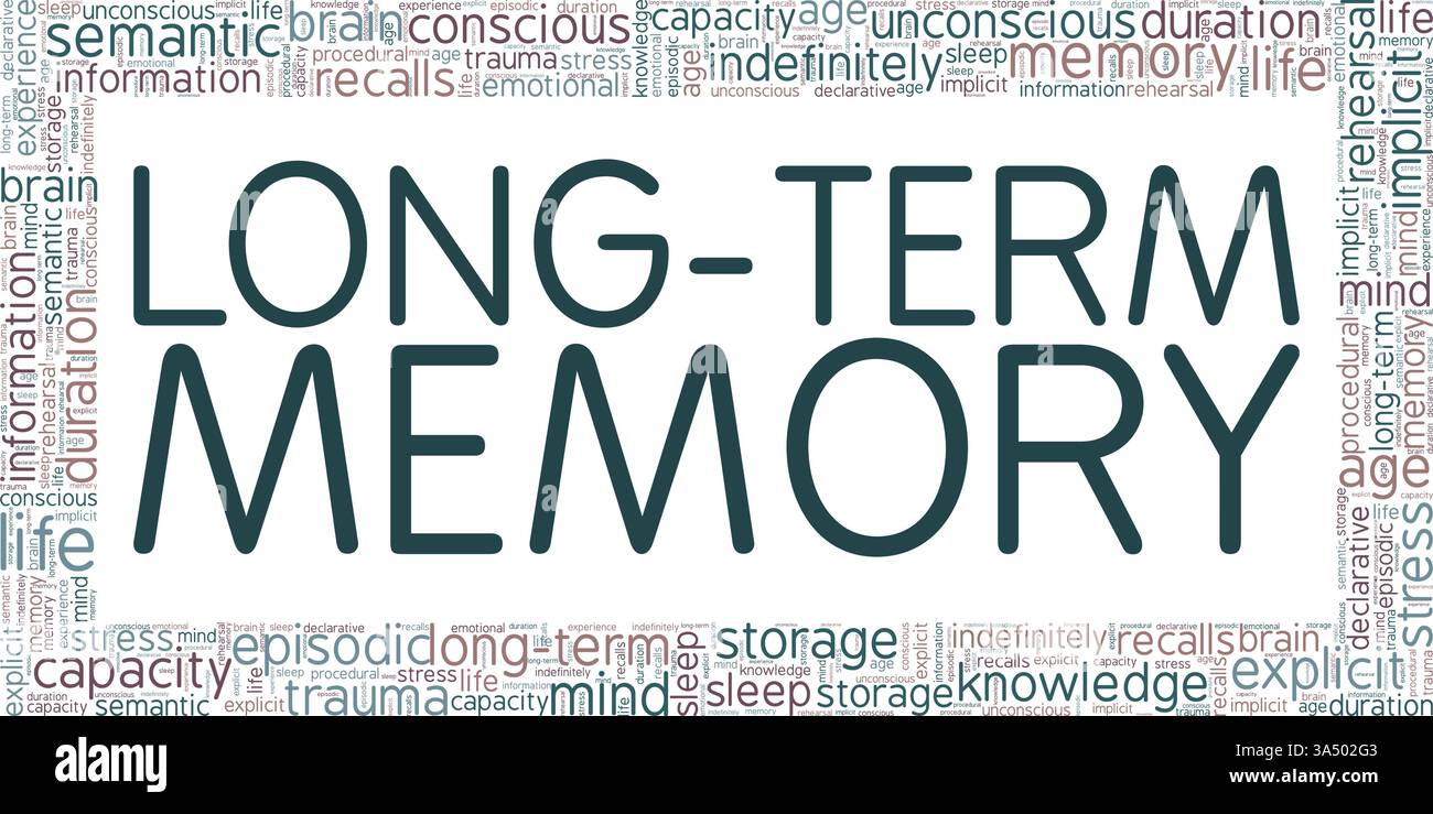 Long-Term Memory vector illustration word cloud isolated on white ...