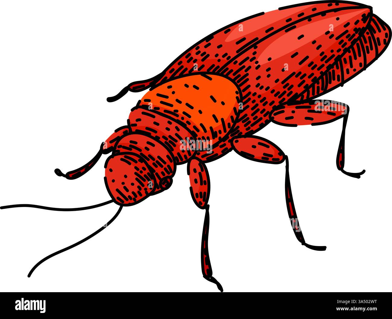 insect cockroach sketch hand drawn vector Stock Vector Image & Art - Alamy