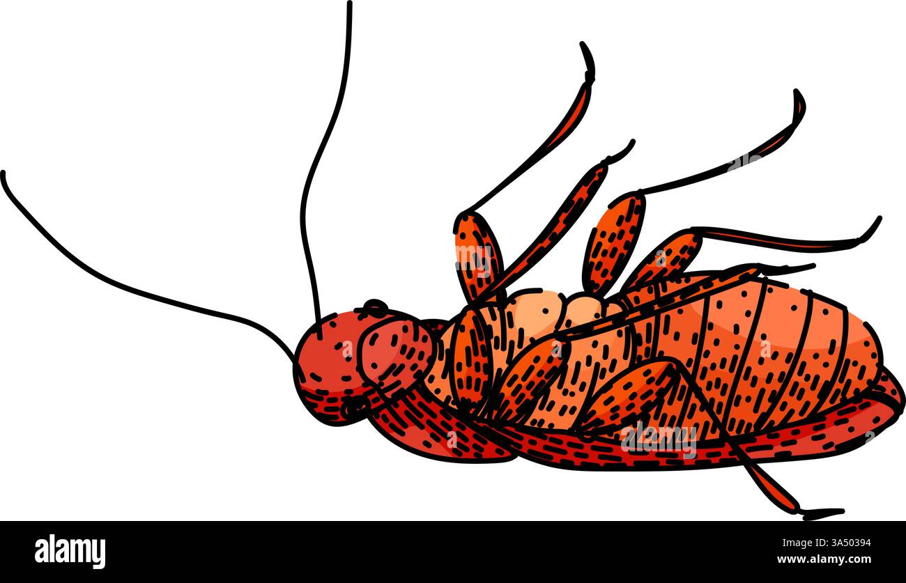 control cockroach sketch hand drawn vector Stock Vector Image & Art - Alamy