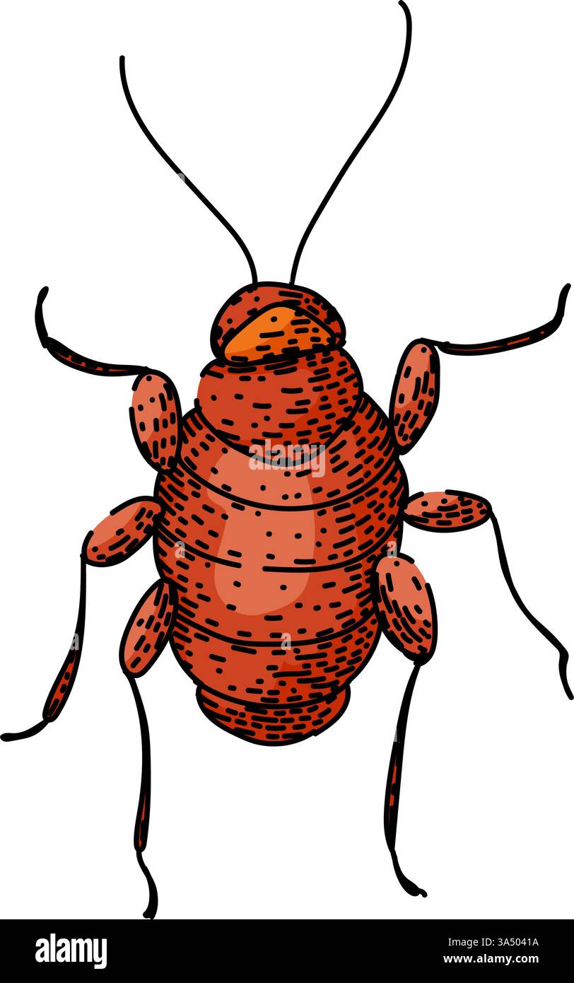 pest cockroach sketch hand drawn vector Stock Vector Image & Art - Alamy