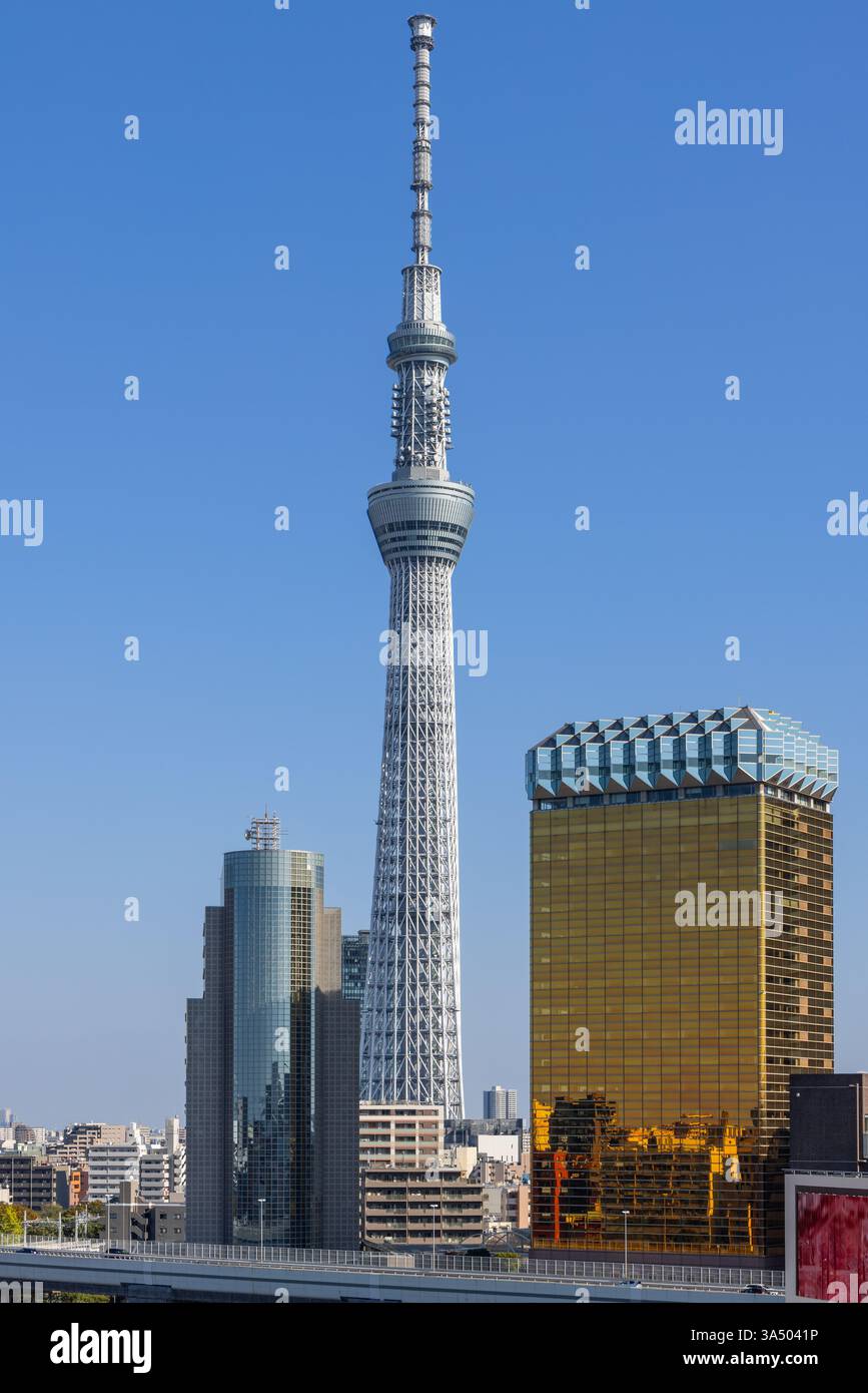 Tokyo Skytree, Japan tallest structure, with surrounding skyscrapers ...
