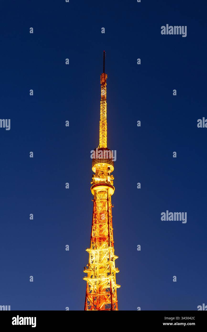 Tokyo Tower stands illuminated in warm golden light against the dark ...
