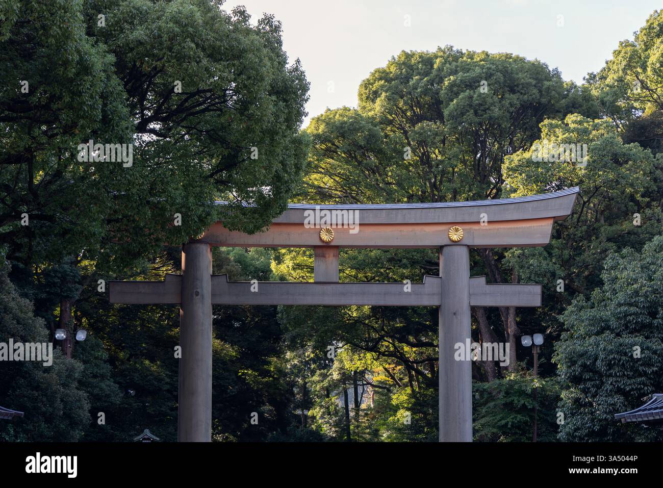 The torii gate of Meiji Shrine in Tokyo stands in harmony with the ...