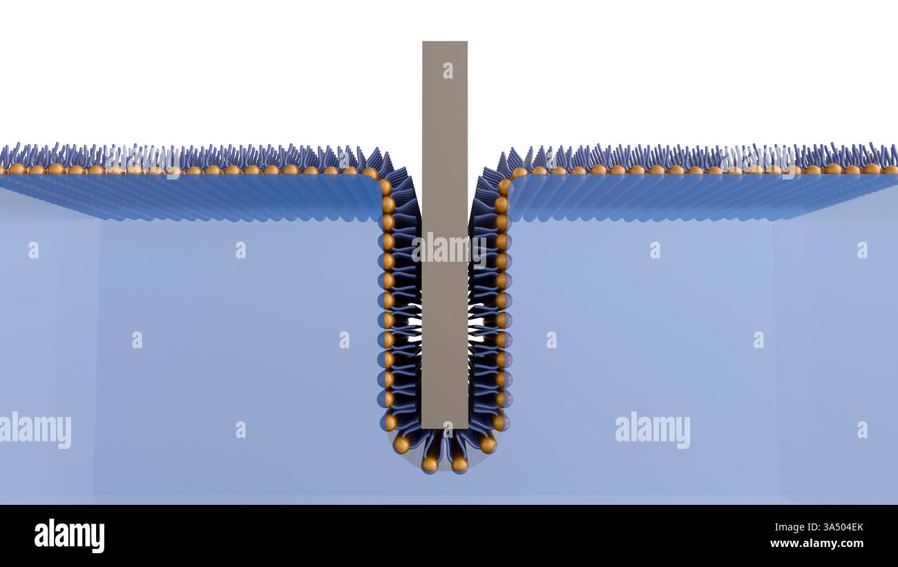 A 3D rendered illustration depicting the formation or structure of a ...