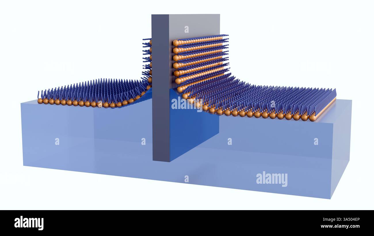 A 3D rendered illustration depicting the formation or structure of a Langmuir-Blodgett (LB) film ...