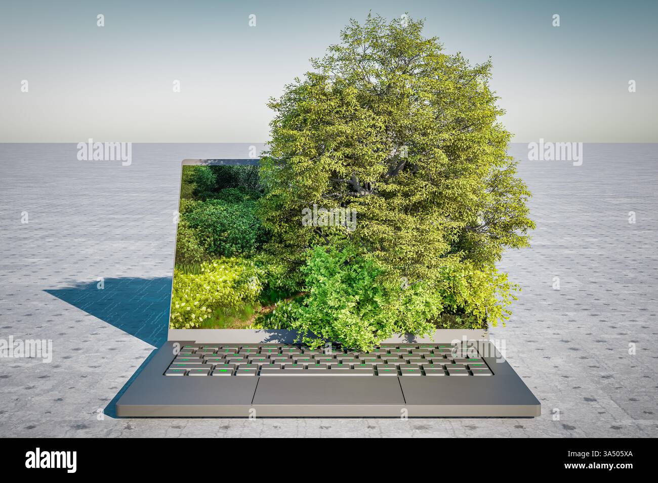 Laptop screen showing a tree growing. Concept of green technology and ...