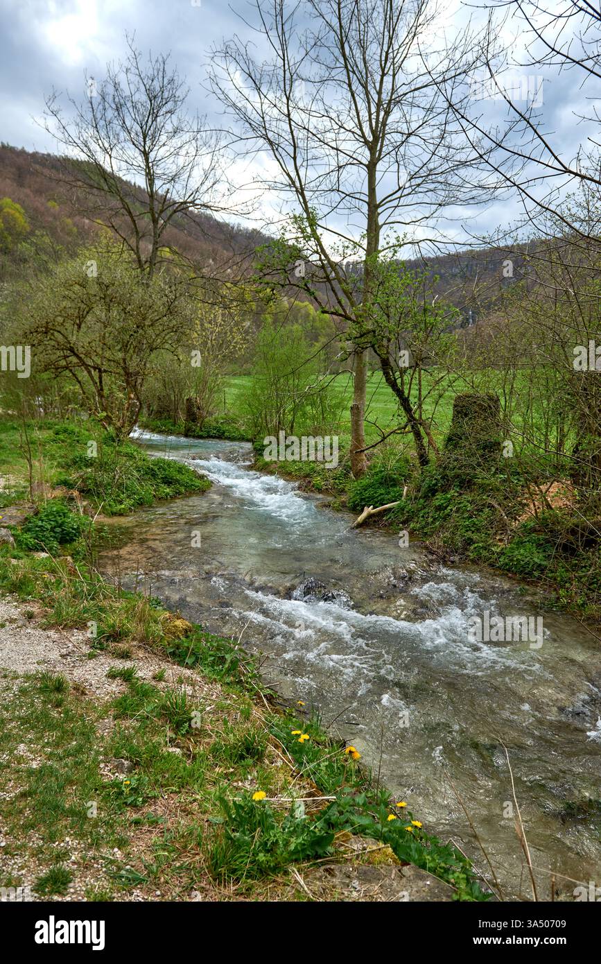 This high-resolution photograph captures a tranquil spring river ...