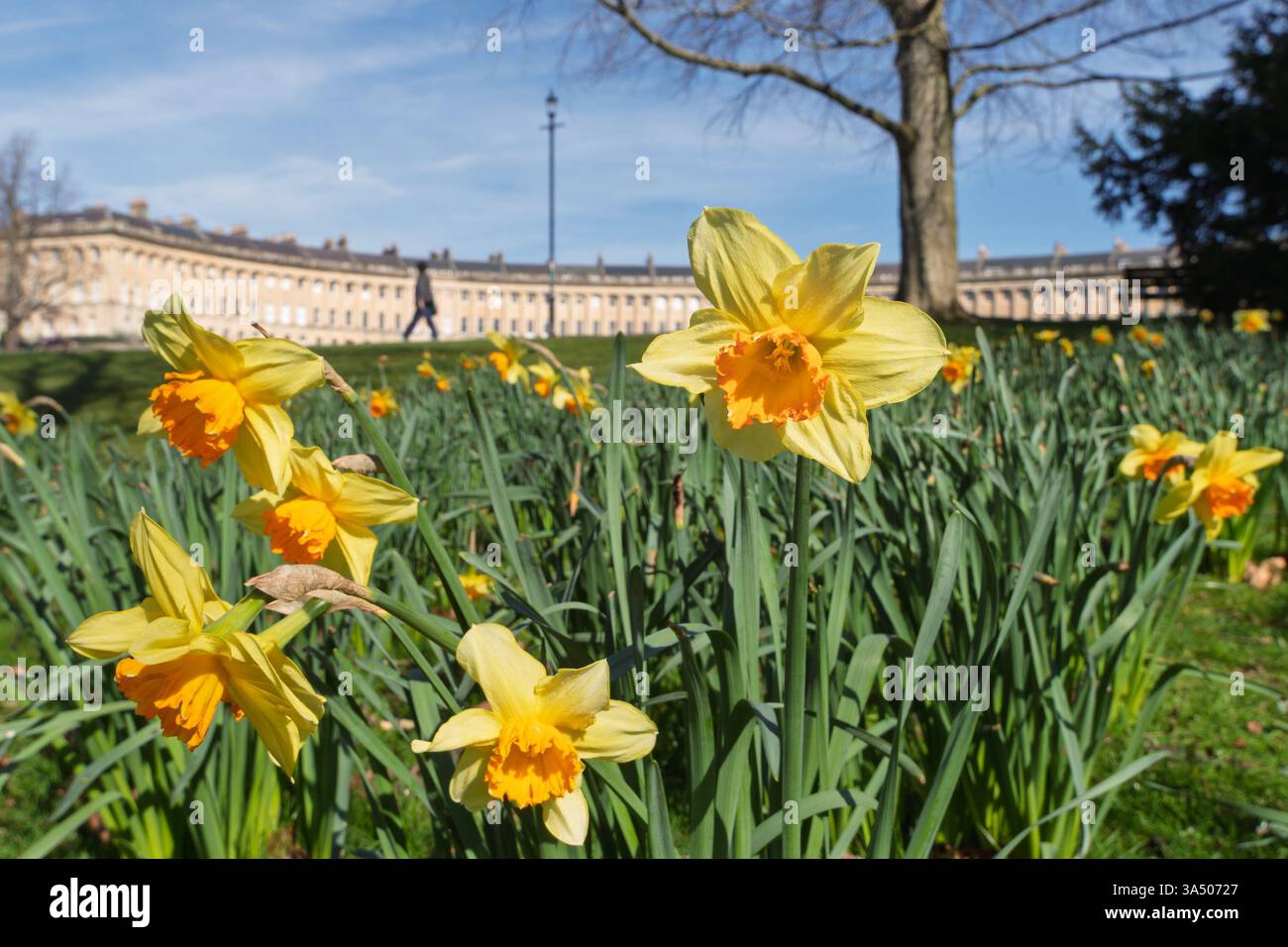 Bath, UK. 20th Mar, 2025. With forecasters predicting that the first ...