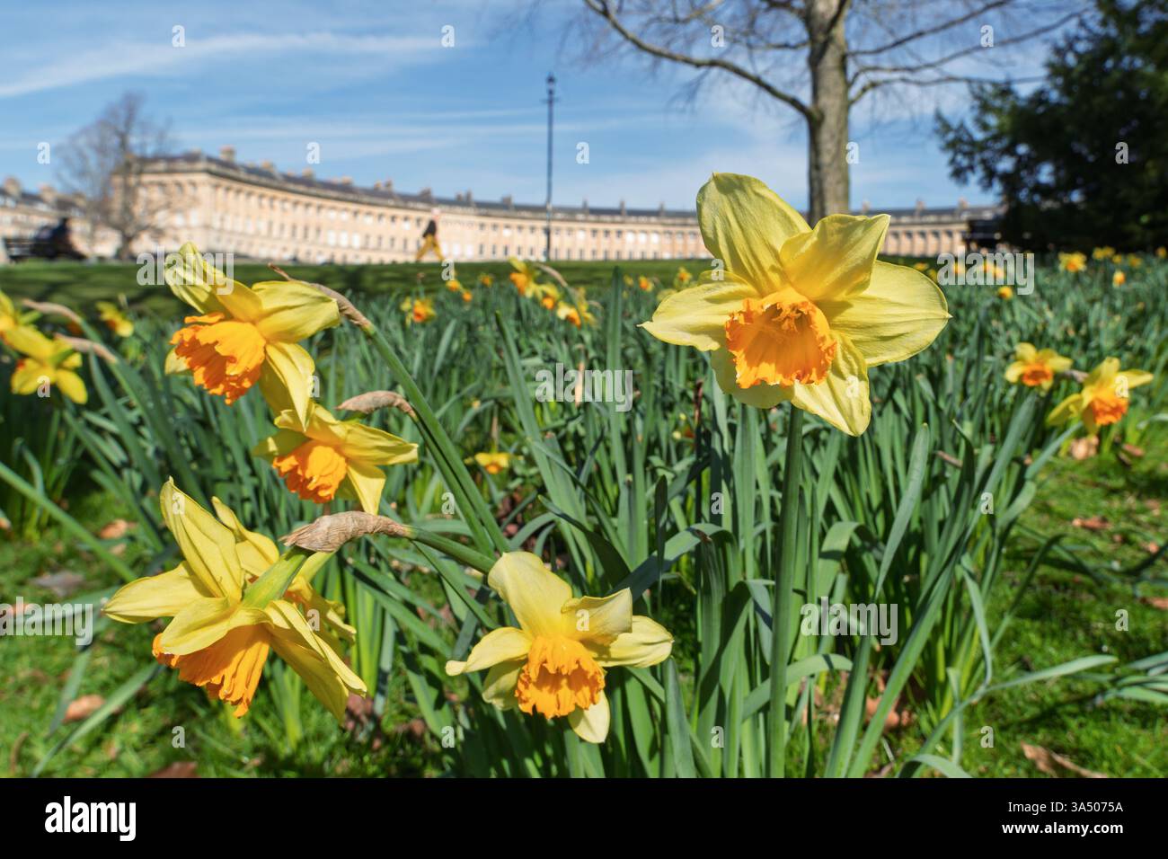Bath, UK. 20th Mar, 2025. With forecasters predicting that the first ...