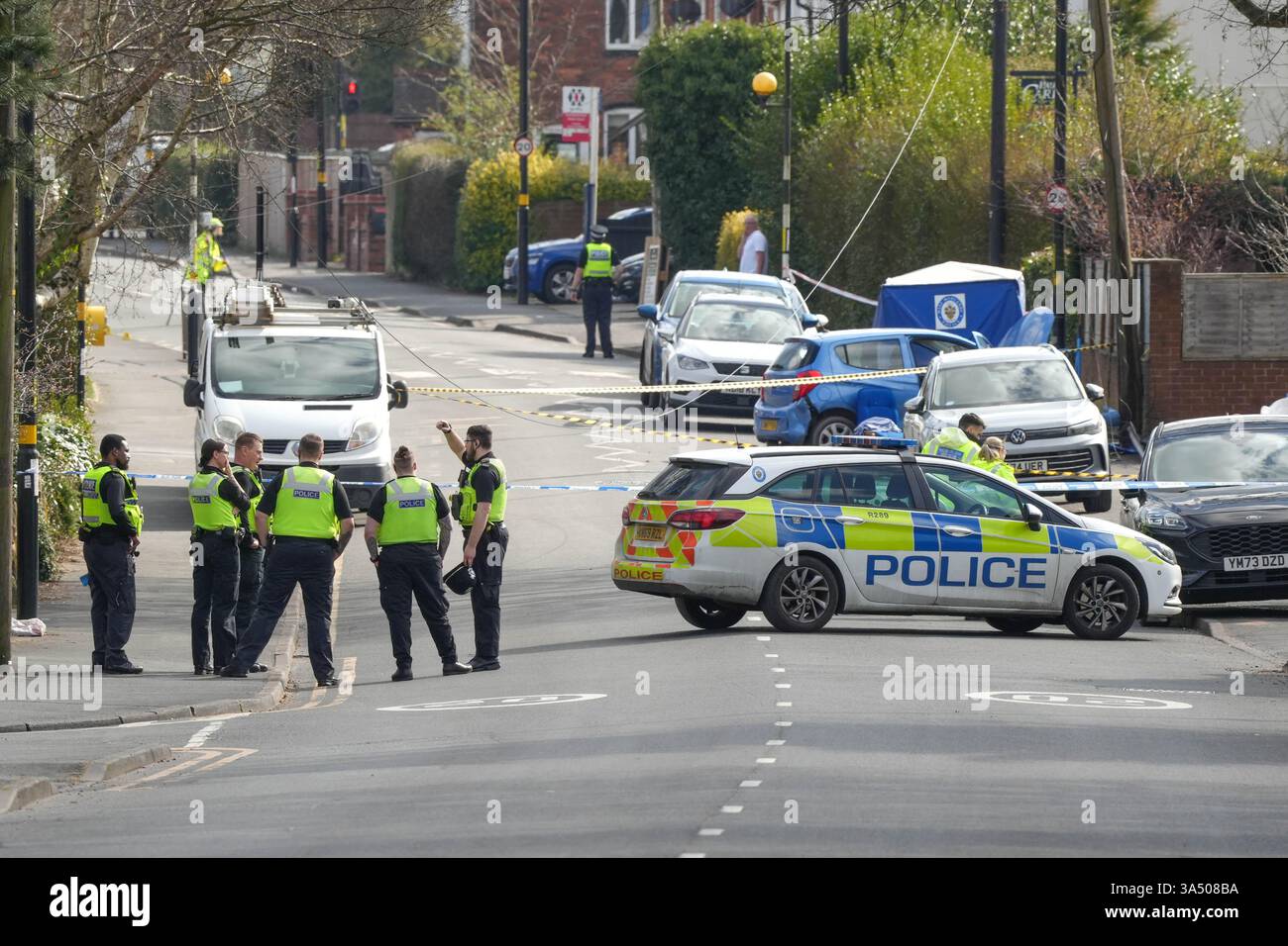 An elderly man has died and an elderly female driver has sustained ...