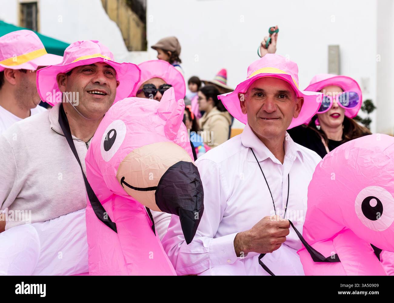 Flamingo riders at Carnival in Tomar, Portugal 2025 Stock Photo - Alamy