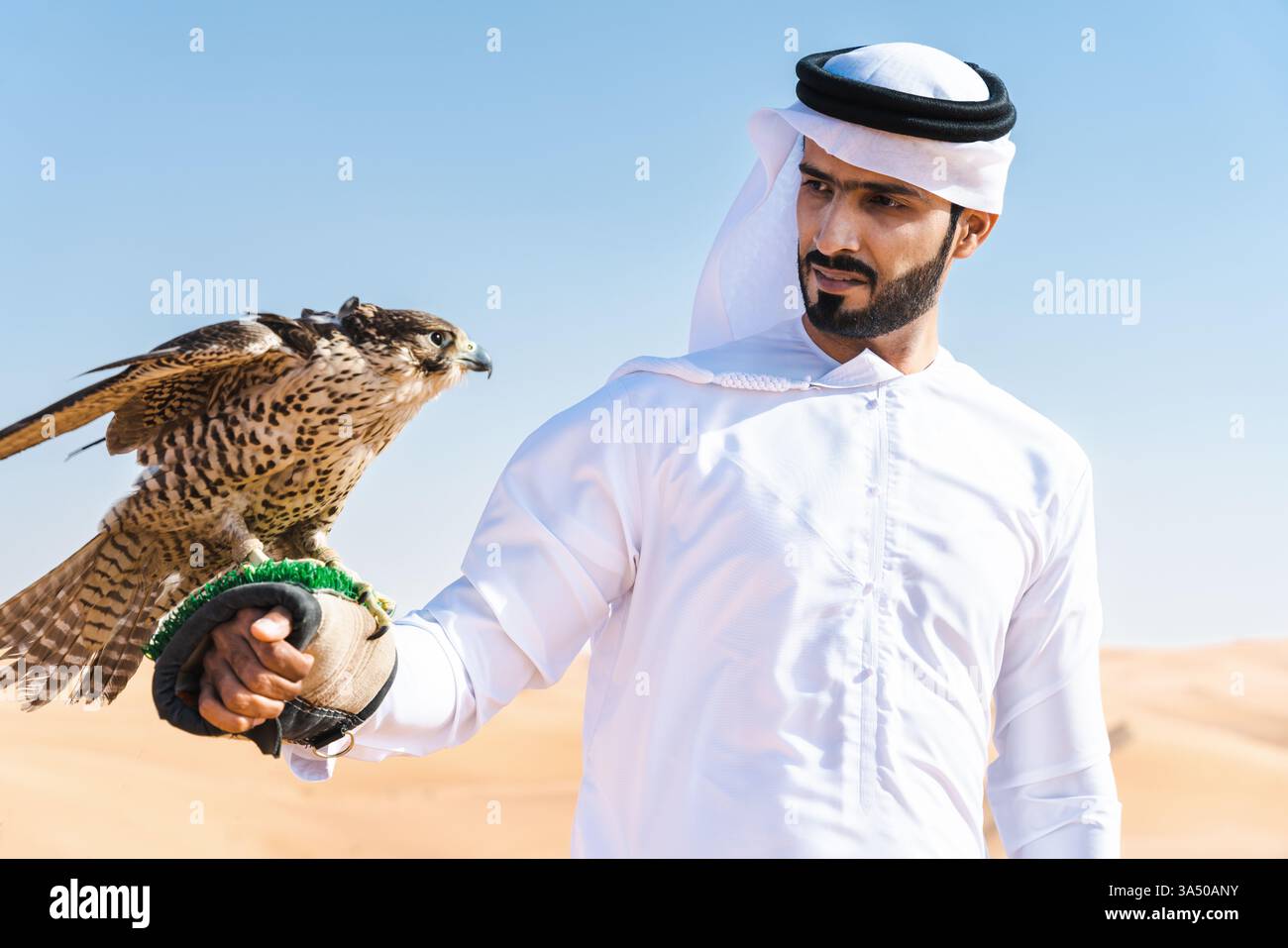 Middle Eastern male with falcon bird wearing arab kandura standing in ...