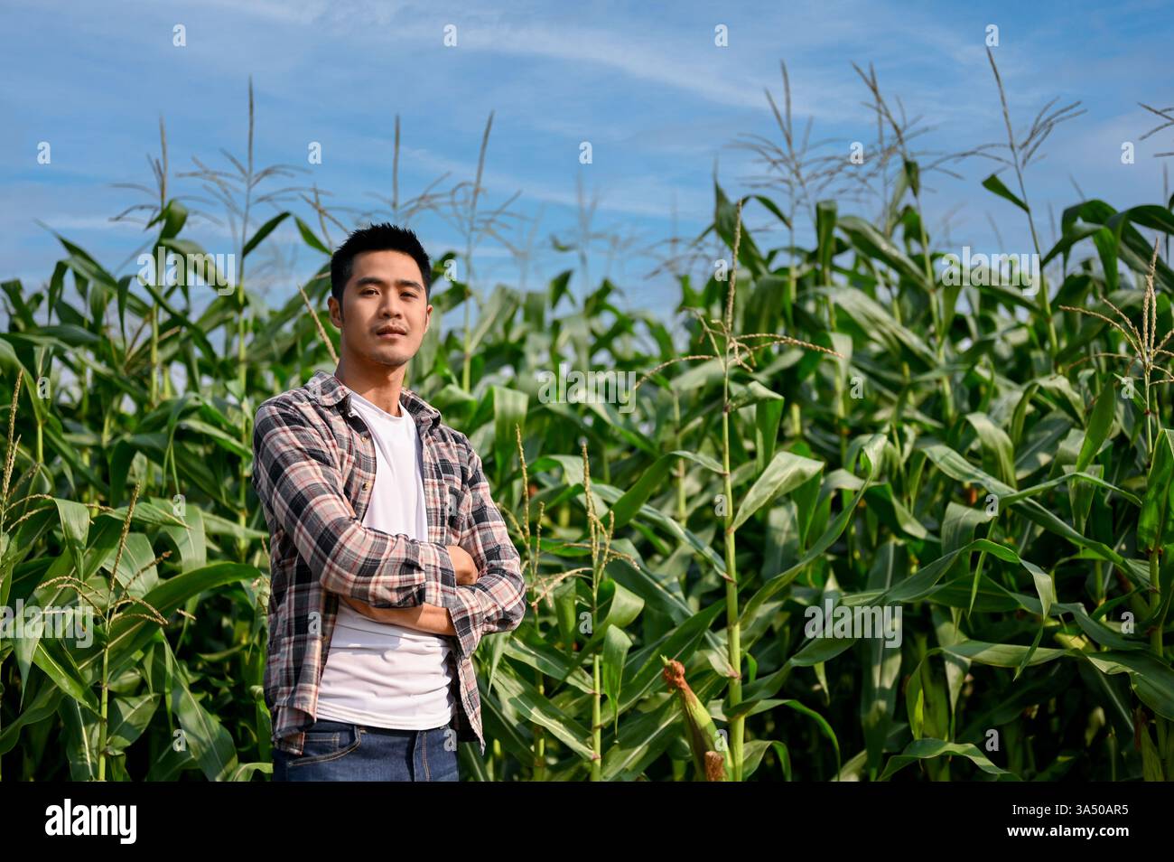 Successful Asian male farmer stands with arms crossed, working in his ...