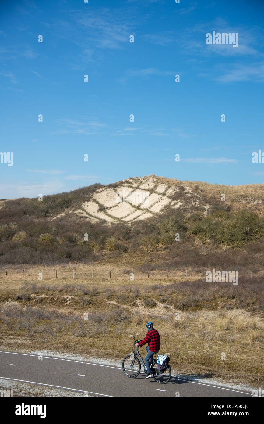 special planting patroon in dunes for protection against the wind in ...