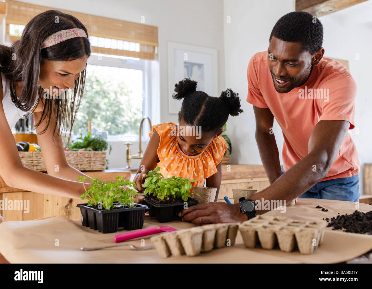 Family planting herbs together at home, enjoying quality time and ...