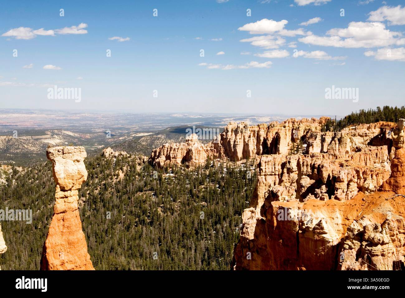 Pillars of rocks made by erosion at Bryce Canyon National Park, United ...