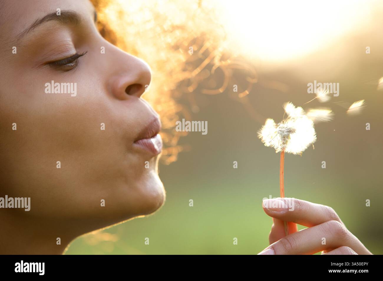 African American woman blowing dandelion seeds standing against green ...