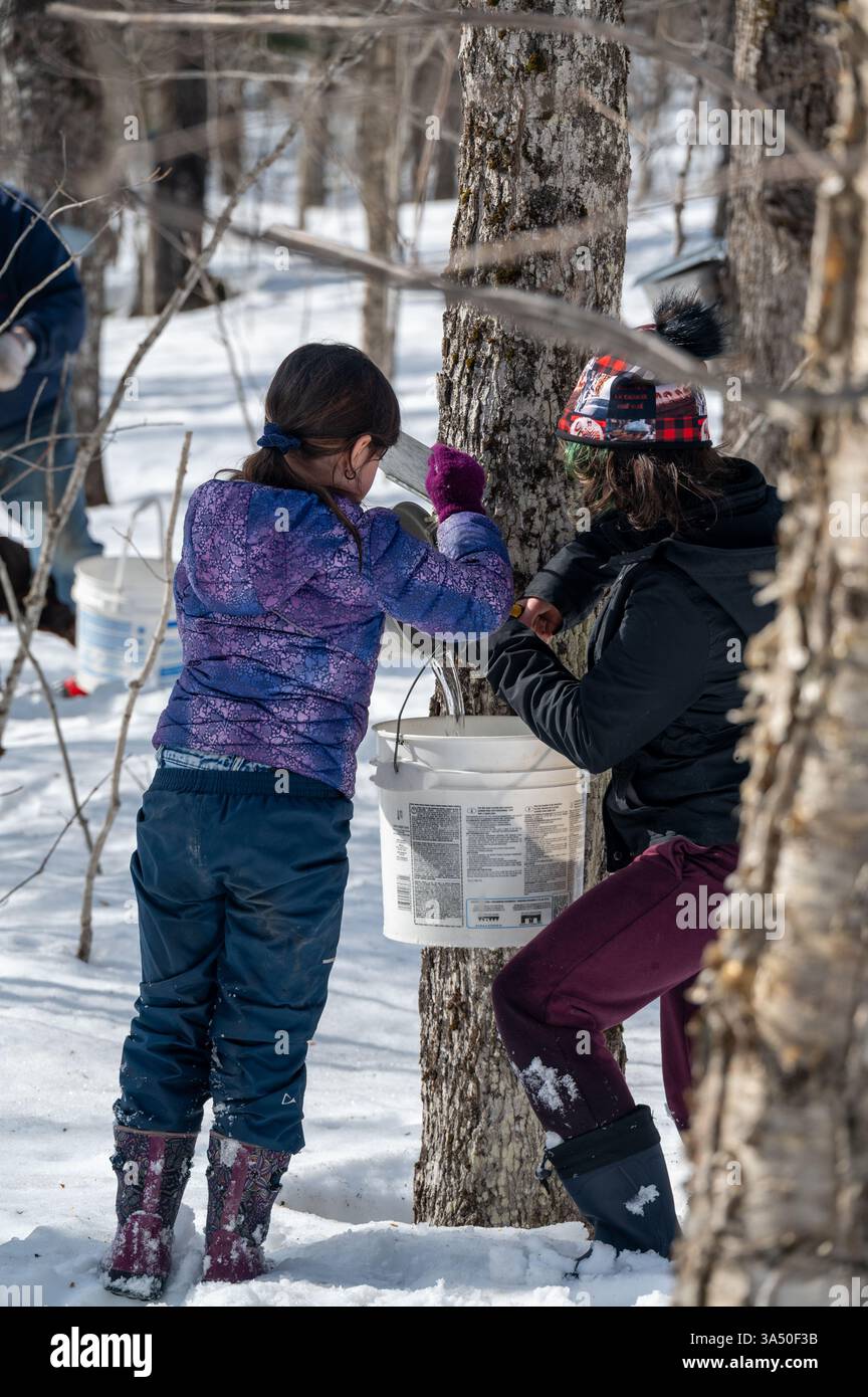Children work together in forest hi-res stock photography and images - Alamy