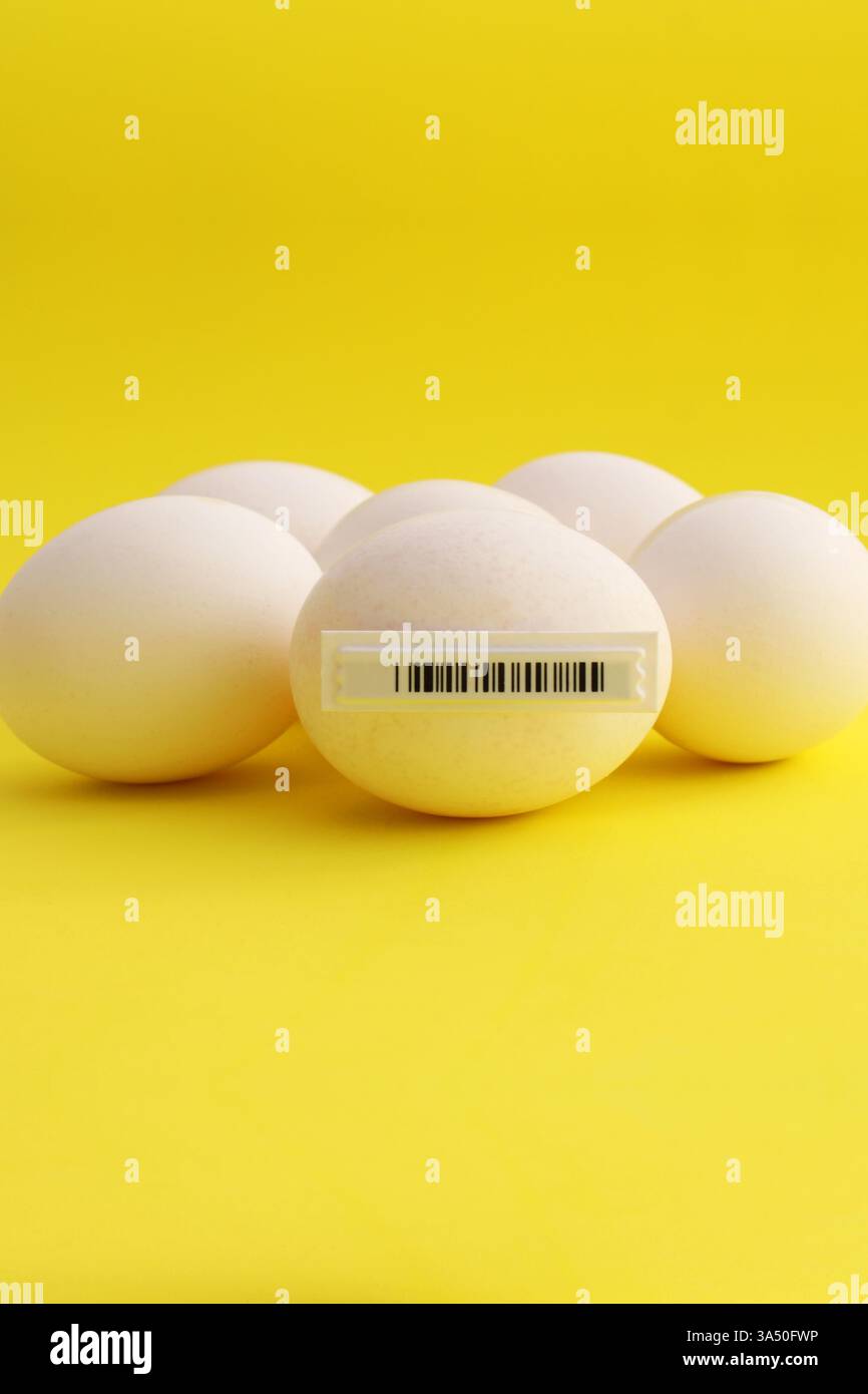 Barcode on one of several eggs - vertical format Stock Photo - Alamy