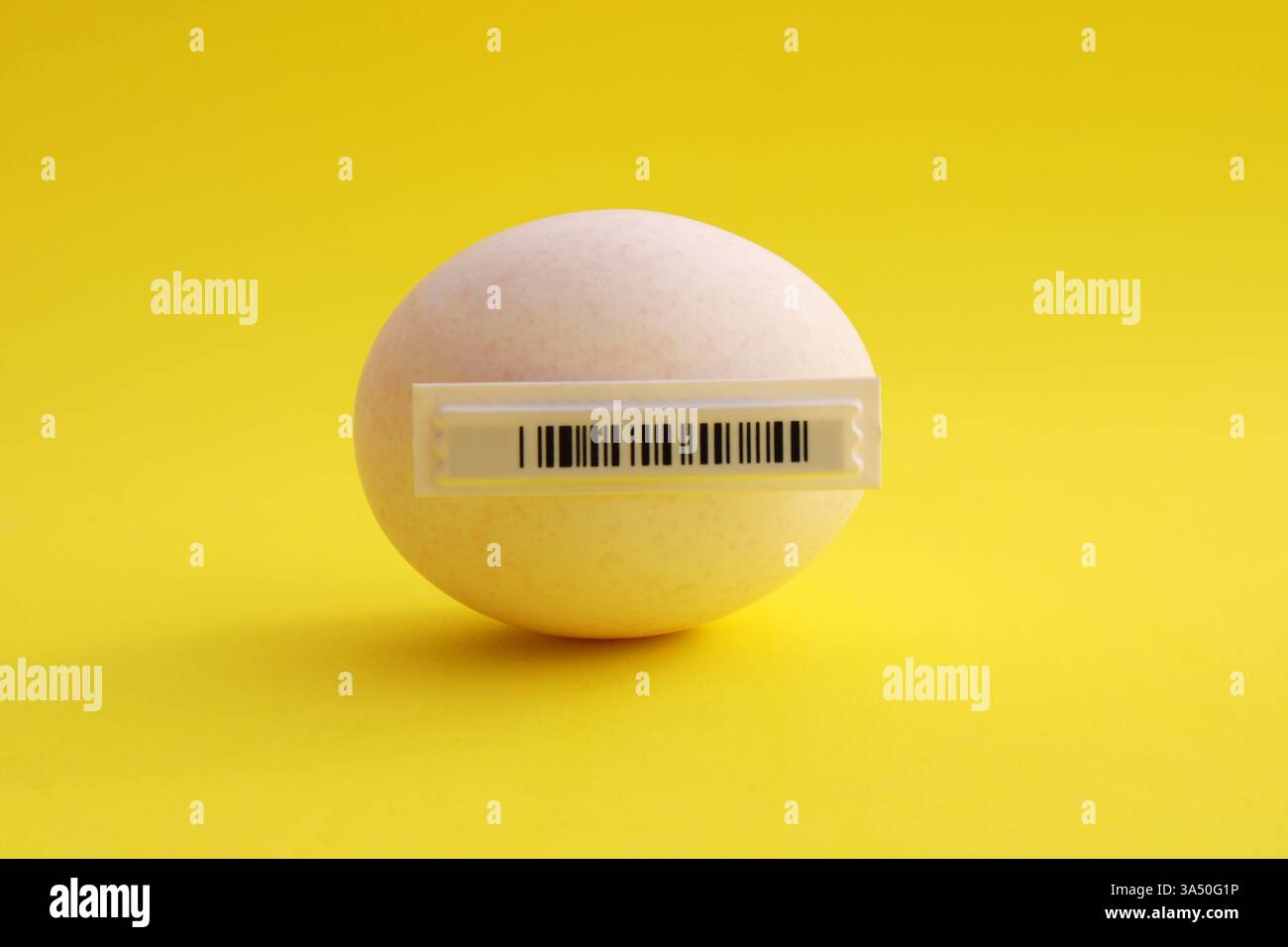 Barcode on a chicken egg Stock Photo - Alamy