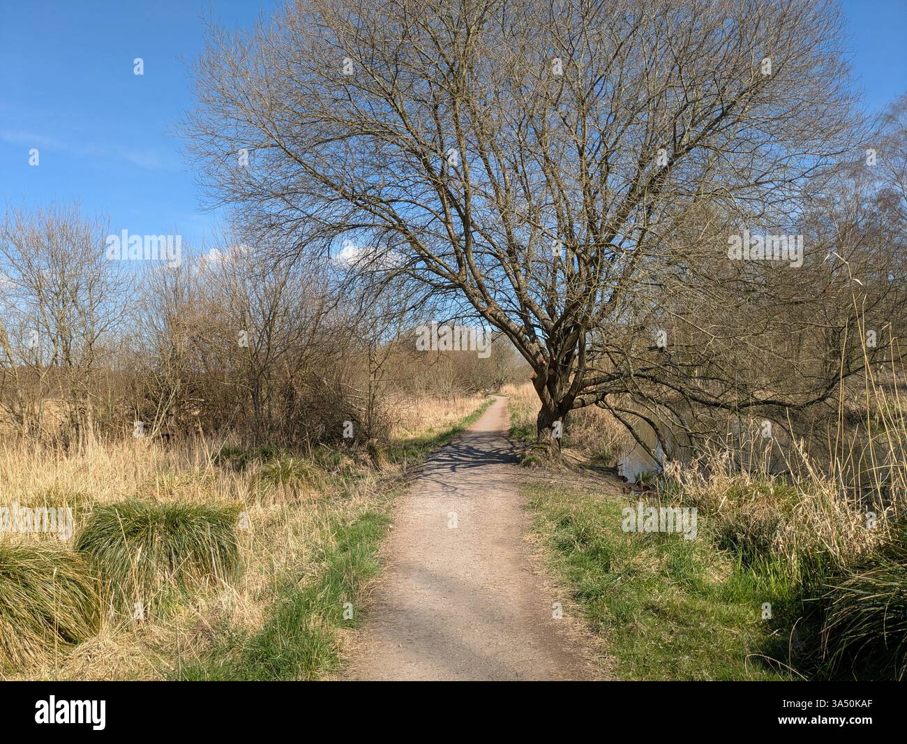 A countryside walk with path in nature at the moors in England on a ...