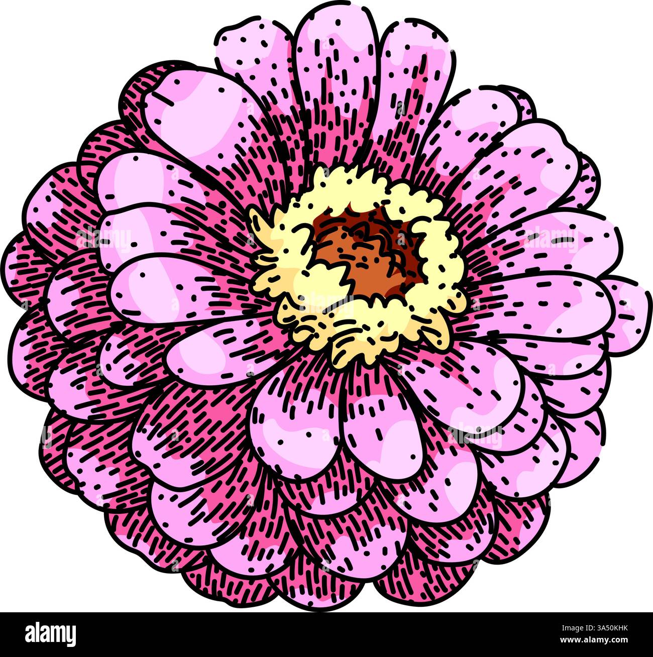 garden zinnia sketch hand drawn vector Stock Vector Image & Art - Alamy