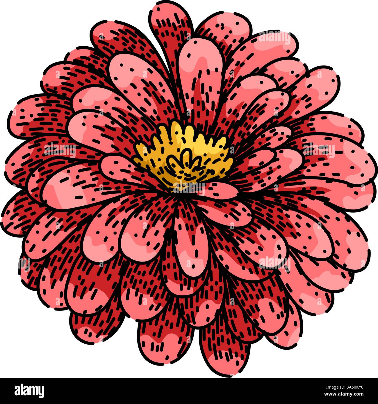colorful zinnia sketch hand drawn vector Stock Vector Image & Art - Alamy