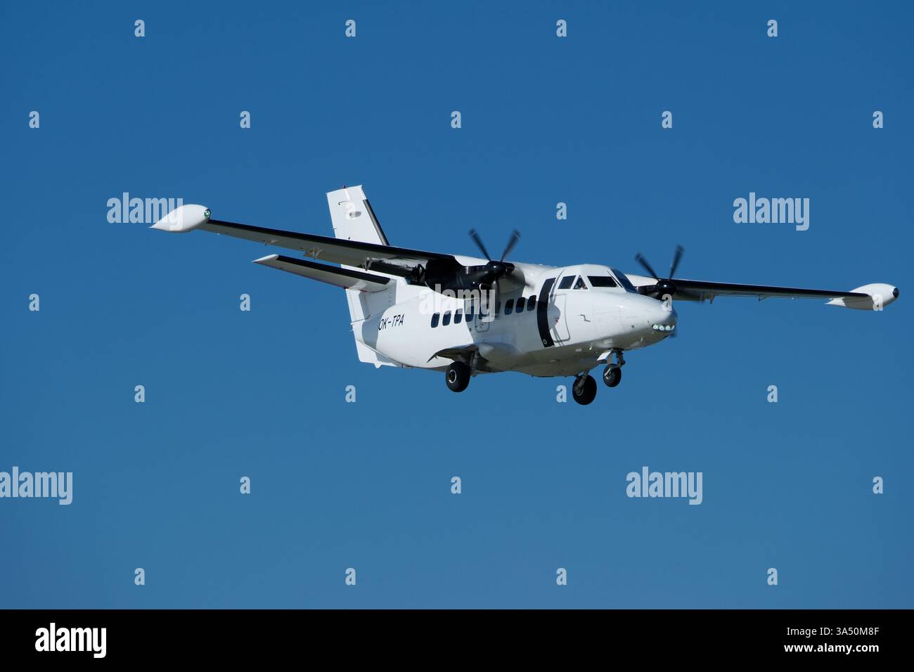 L-410 landing at Batumi airport Stock Photo - Alamy