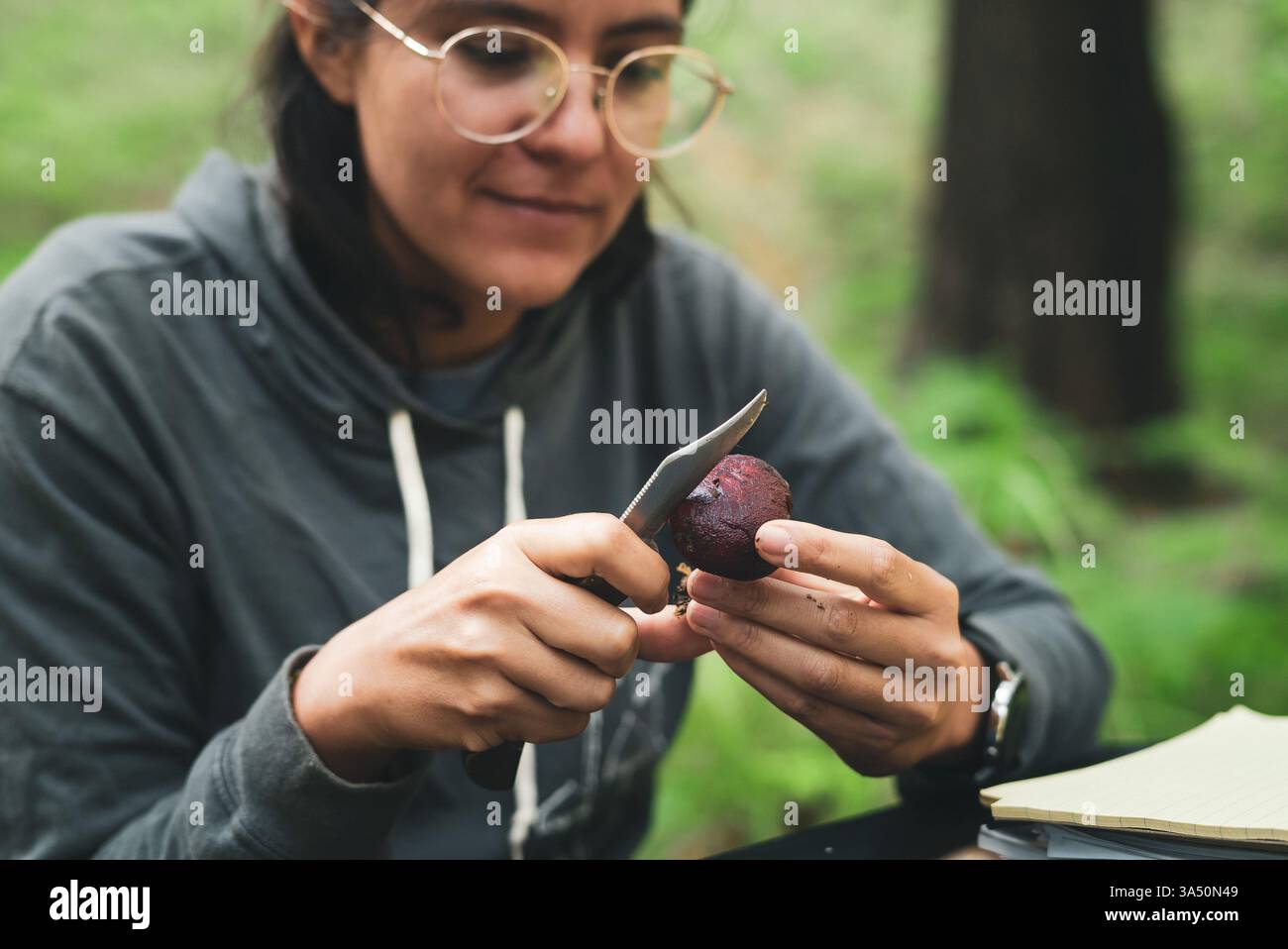 Latina woman mycologist cutting mushroom sitting against green grass in ...