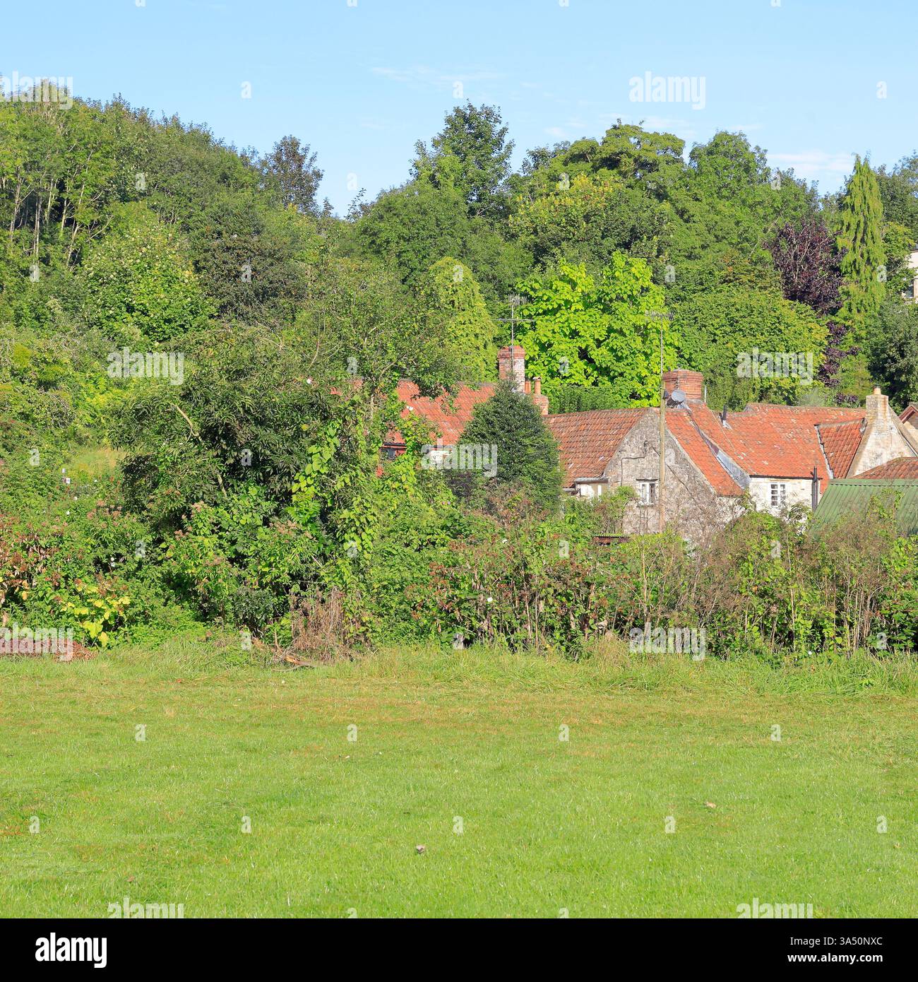 Country scene of rooftops seen through green trees. Taken September ...