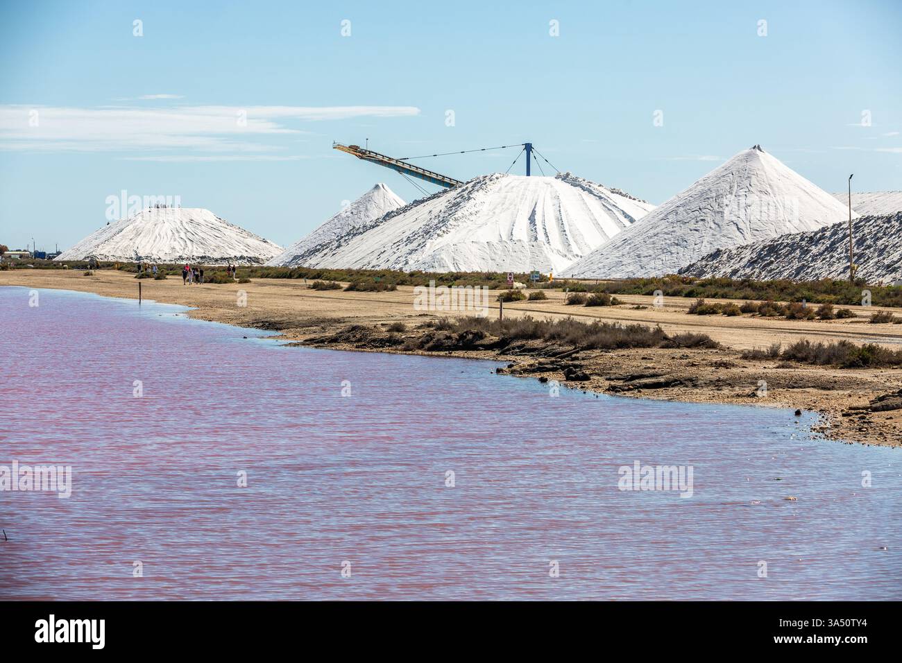 mounds of raw sea salt on the edge of an evaporation basin at the ...