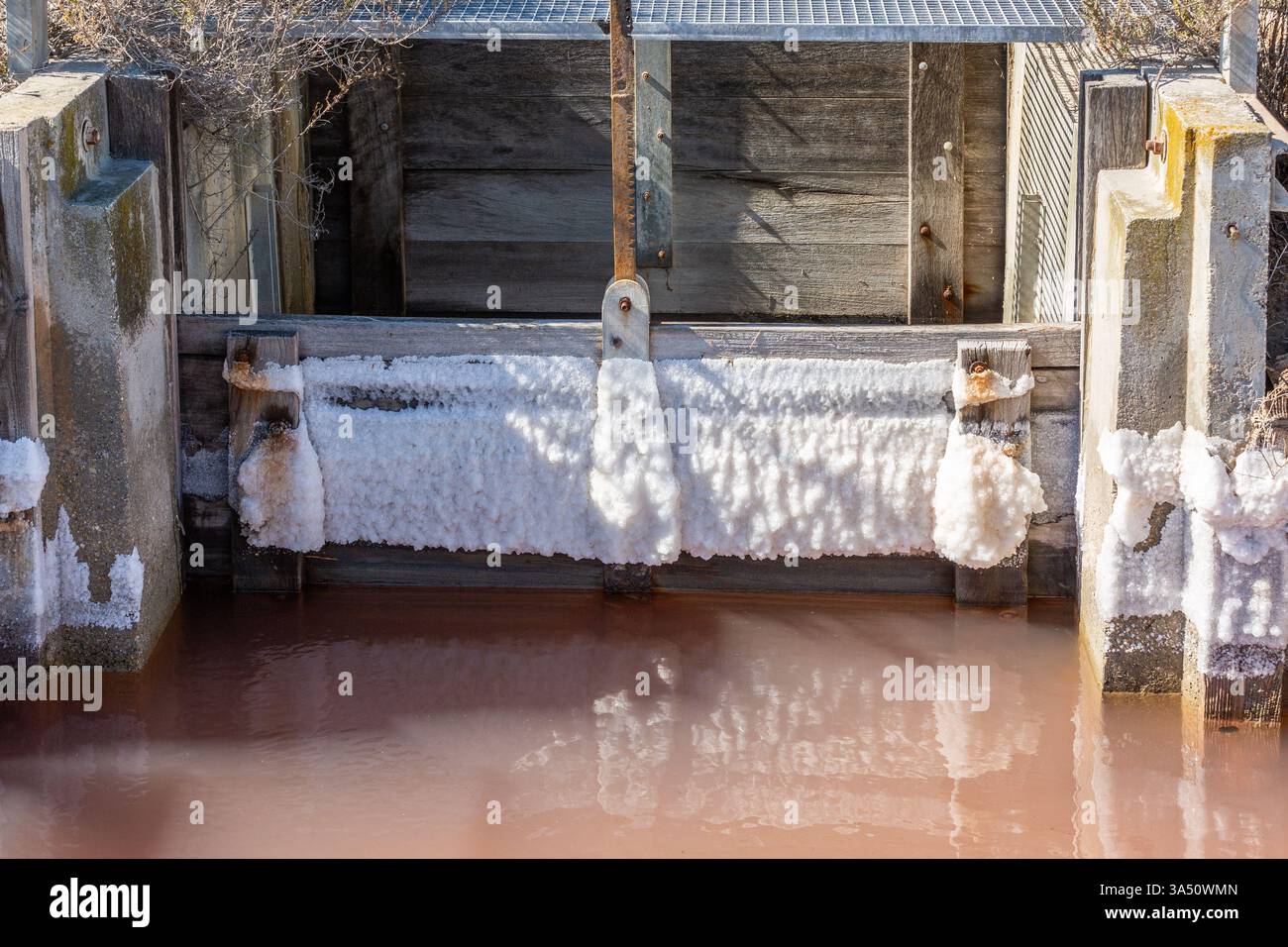 Retention valve hi-res stock photography and images - Alamy