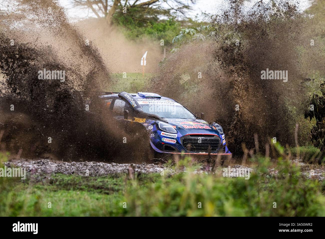 13 Grégoire MUNSTER, Louis LOUKA, Ford Puma Rally1, action during the ...