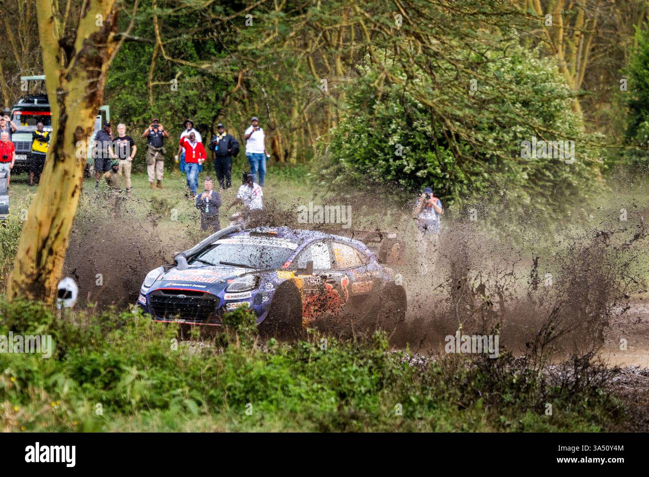 55 Joshua MCERLEAN, Eoin TREACY, Ford Puma Rally1, action during the 2025 Safari Rally, Kenya ...