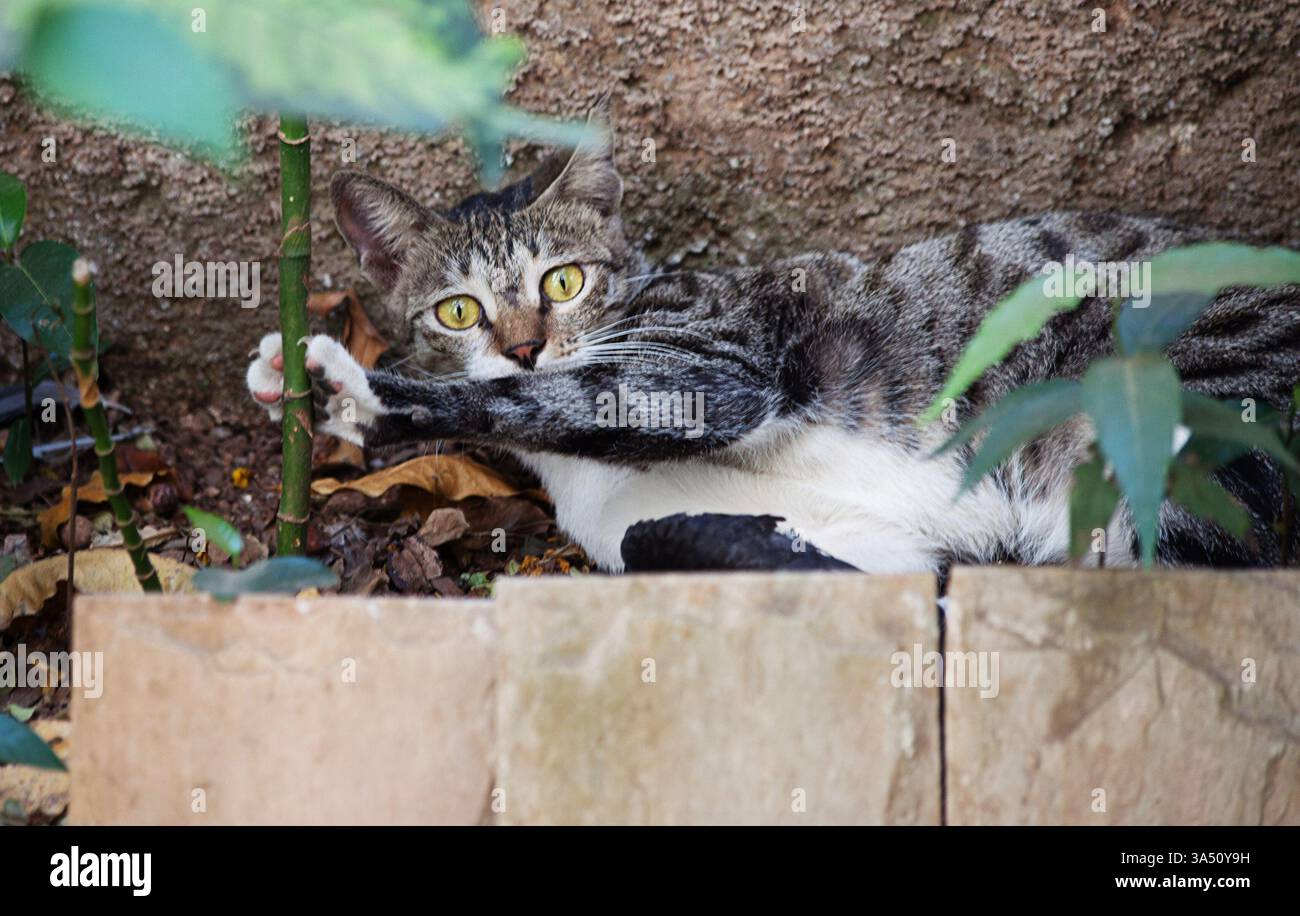 Surprised meme hi-res stock photography and images - Alamy