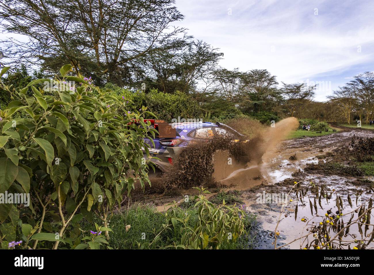 55 Joshua MCERLEAN, Eoin TREACY, Ford Puma Rally1, action during the 2025 Safari Rally Kenya ...