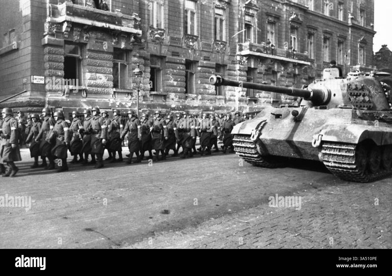 wwii hungary - Hungarian Arrow Cross army/militia and a German Tiger II ...