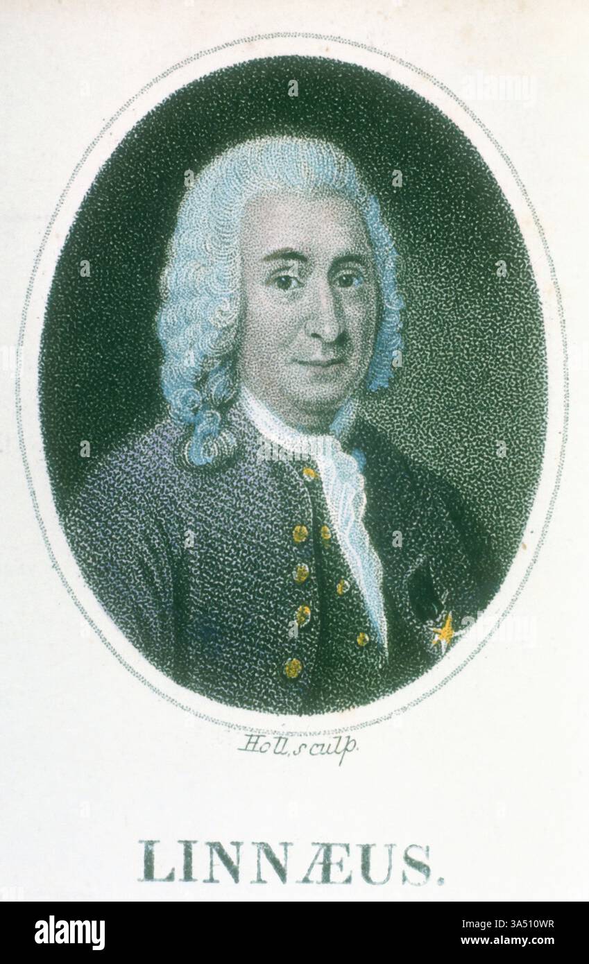 Portrait of Linnaeus (Carl von Linne - 1707-1778 Stock Photo - Alamy
