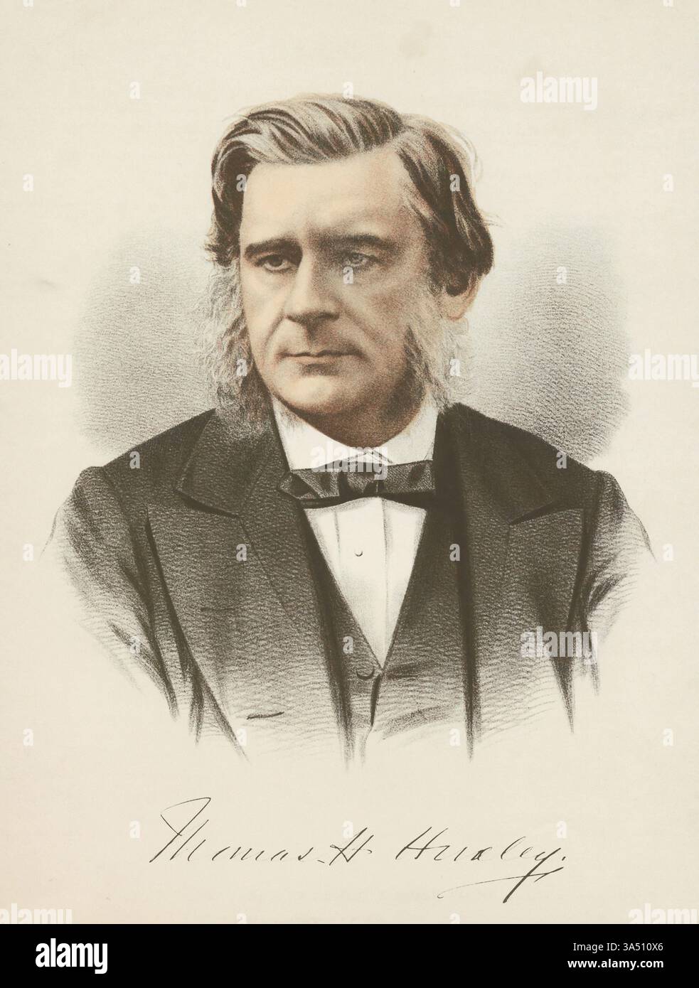 Portrait of Thomas Henry Huxley (1825-1895) British biologist Stock ...