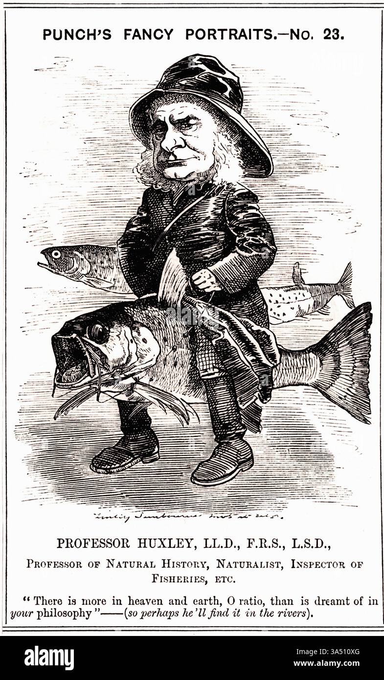 Portrait of Thomas Henry Huxley (1825-1895 Stock Photo - Alamy