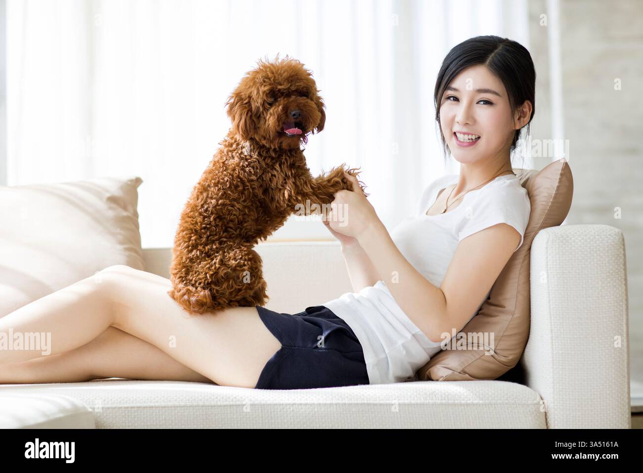 Young Chinese woman plays with a poodle at home in a relaxed living ...