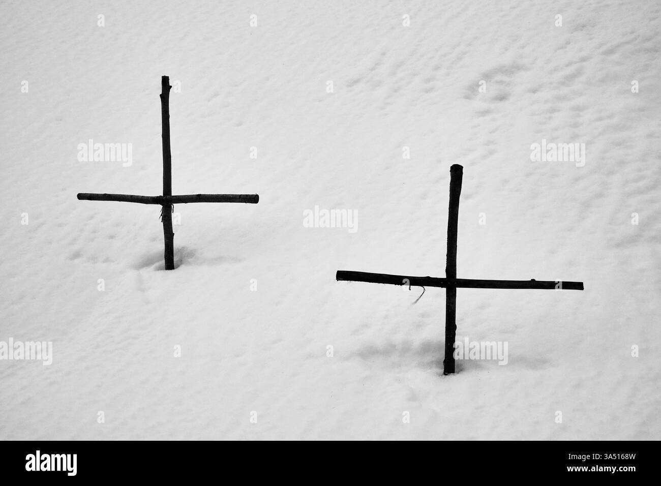 Dead rabbits hi-res stock photography and images - Alamy