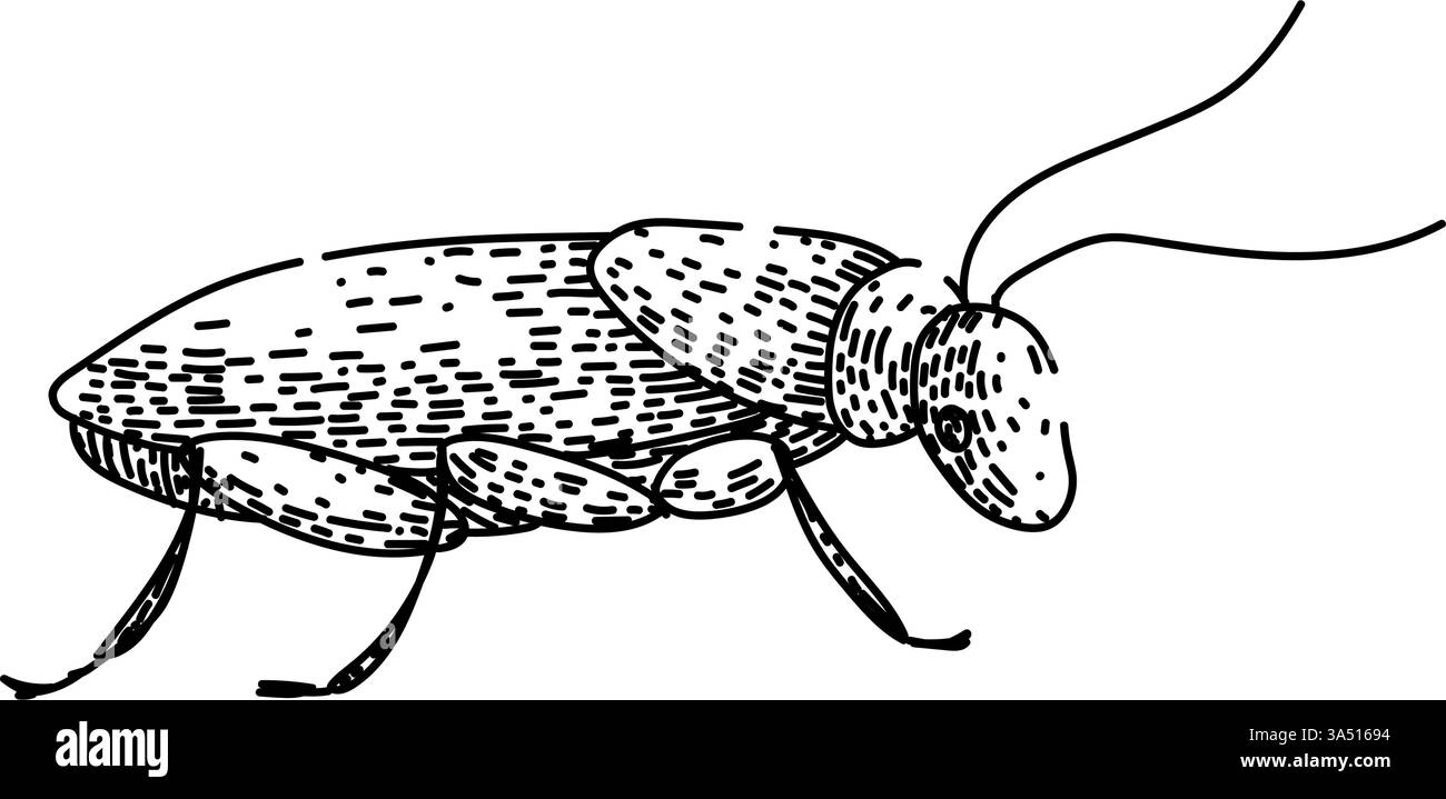 infestation cockroach sketch hand drawn vector Stock Vector Image & Art ...